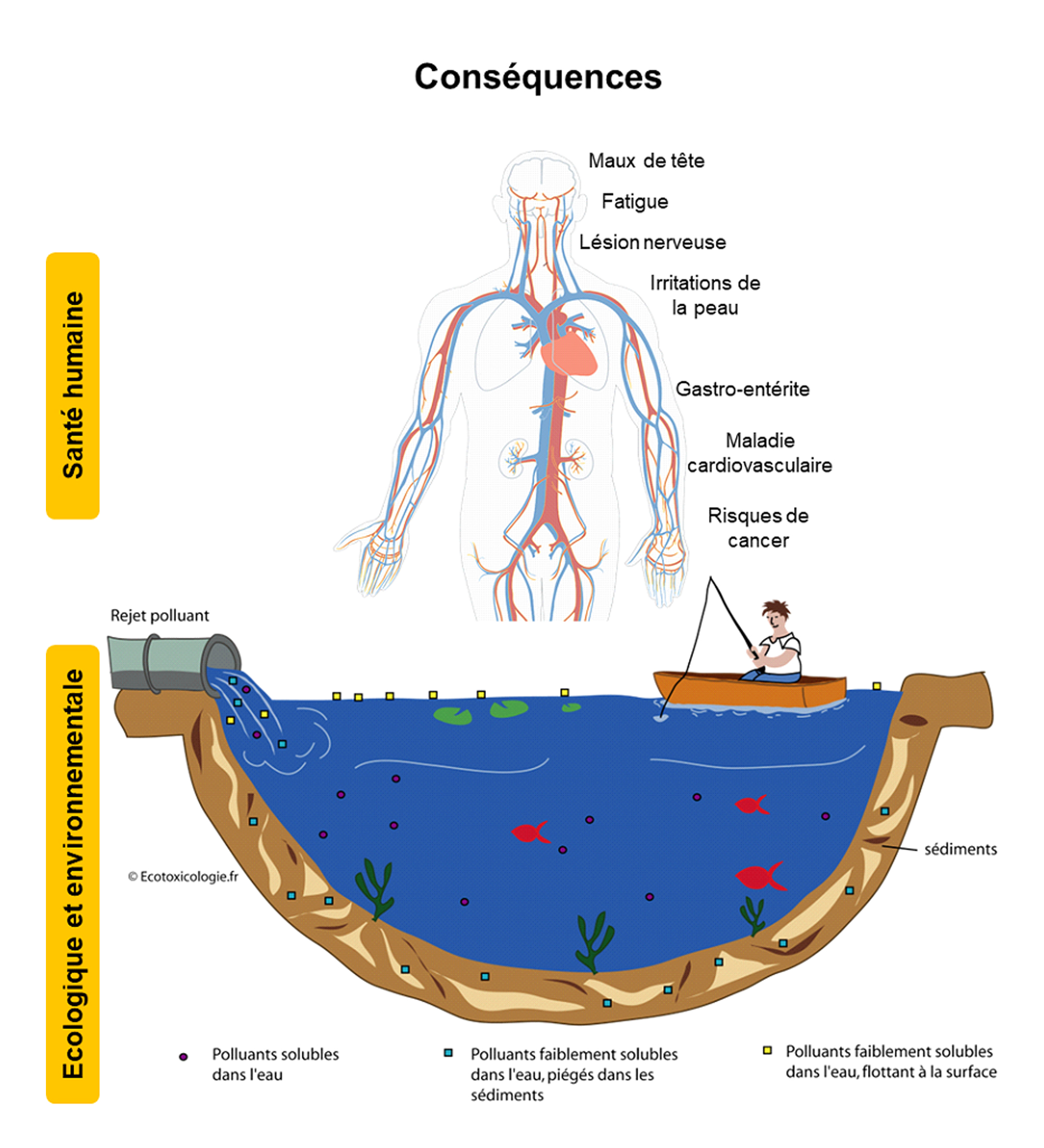 Les polluants émergents : un défi environnemental et règlementaire